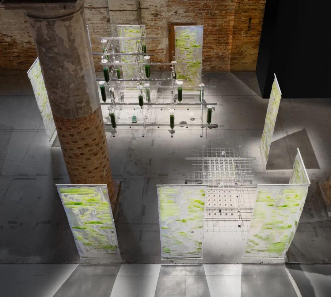 CY TALK | 生物设计科学怪人 ecoLogicStudio 如何运用藻类融入我们的生活 - 哔哩哔哩