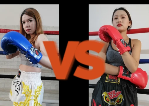 meifight真实女子摔跤综合格斗比赛2, 比赛分享给你 - 哔哩哔哩