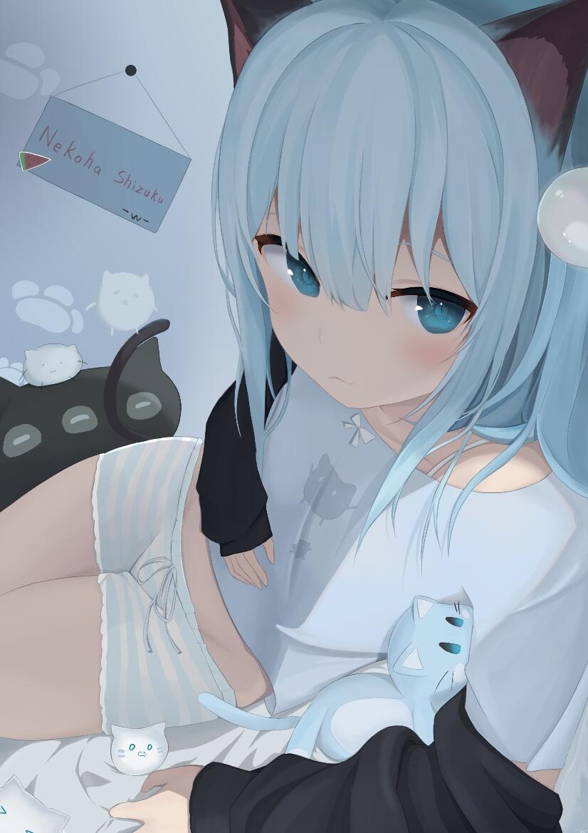 【甘城なつき家的猫咪】全网最全100张猫羽雫、NachoNeko图片合集#261 - 哔哩哔哩