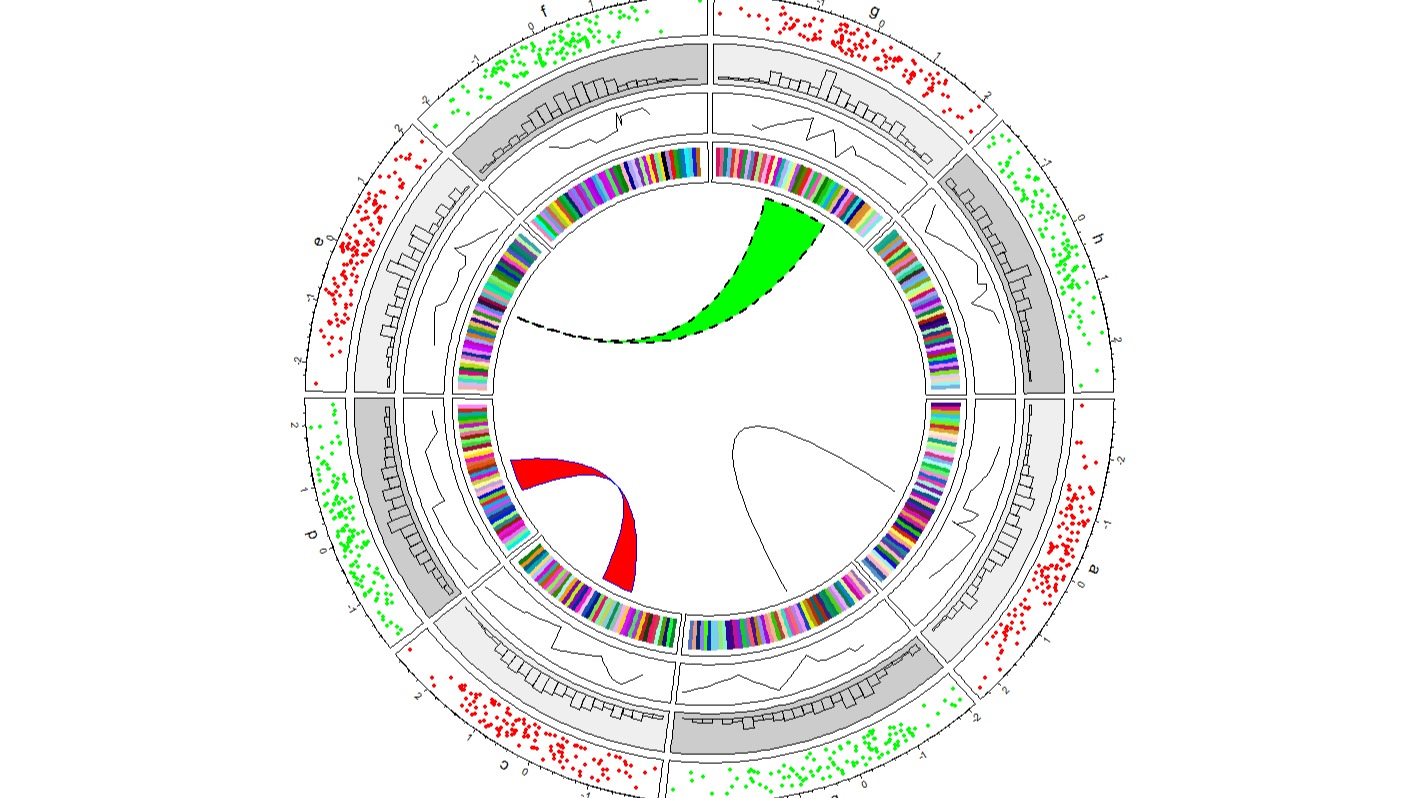 R/circlize包绘制circos图—快速上手体验 - 哔哩哔哩