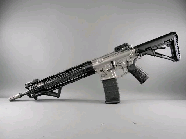 ST AR-15:尖锐战术十周年纪念版步枪 - 哔哩哔哩