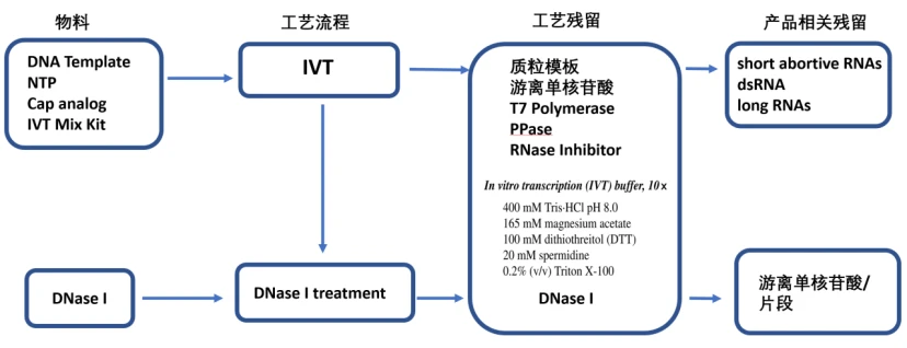 【耀文解读】mRNA大规模生产工艺：mRNA原液与mRNA-LNP成品 - 哔哩哔哩