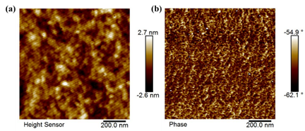 【AFM】干货！读完这篇帮你解决95%的原子力显微镜（AFM）应用问题 - 哔哩哔哩