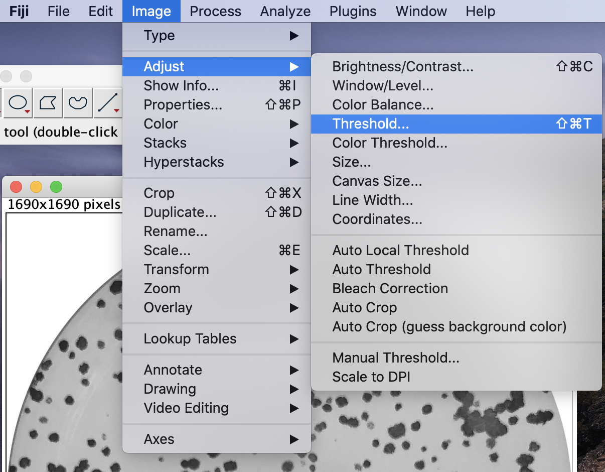 使用photoshop及ImageJ处理克隆形成实验结果 - 哔哩哔哩