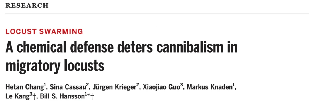 Science|单基因突变引发10倍自相残杀强度，蝗虫虫害解决新突破！ - 哔哩哔哩