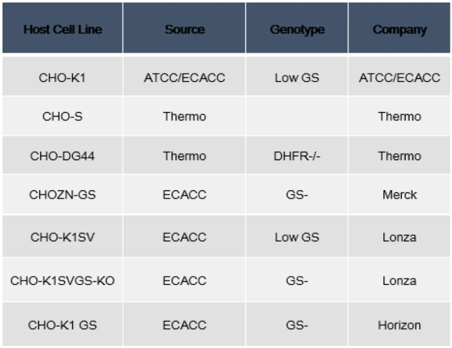 CHO高表达细胞株的构建方法 - 哔哩哔哩
