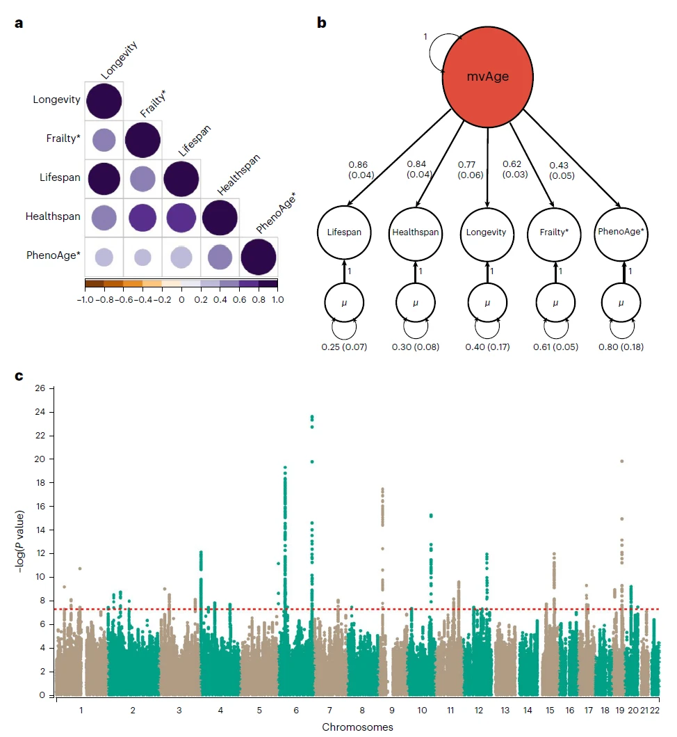 4张图纯生信登上16分+Nature新子刊！孟德尔随机化联手GWAS数据分析，卷起来~ - 哔哩哔哩
