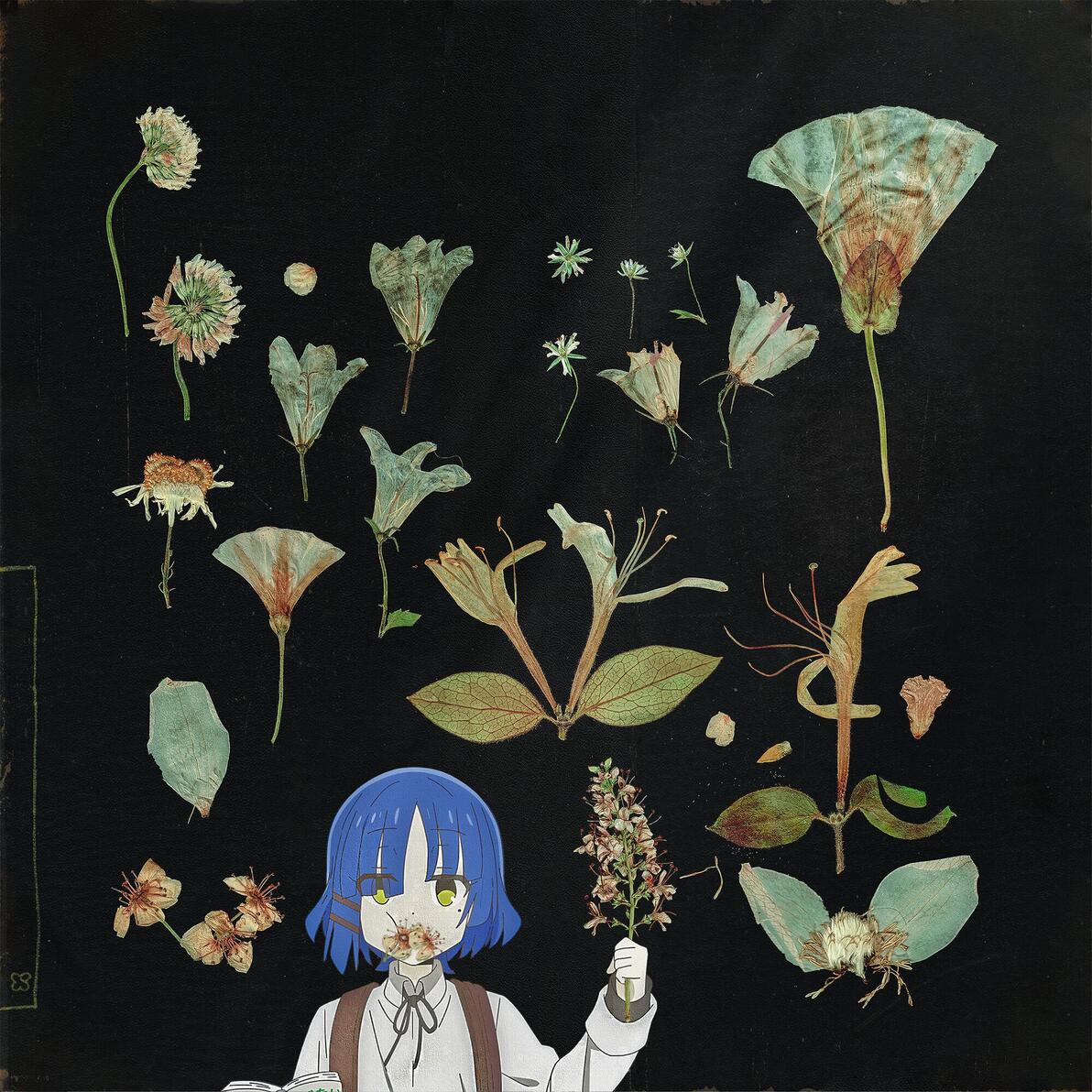 一些做过的图放在这里了 - 哔哩哔哩