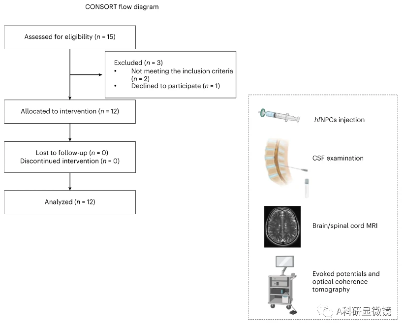 CONSORT flow diagram 和checklist如何写？ - 哔哩哔哩