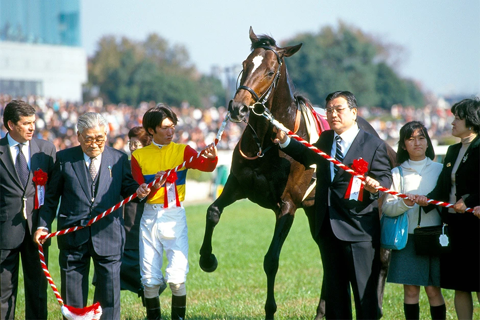 【全图鉴】日本JRA年度代表马（1954-2022） - 哔哩哔哩