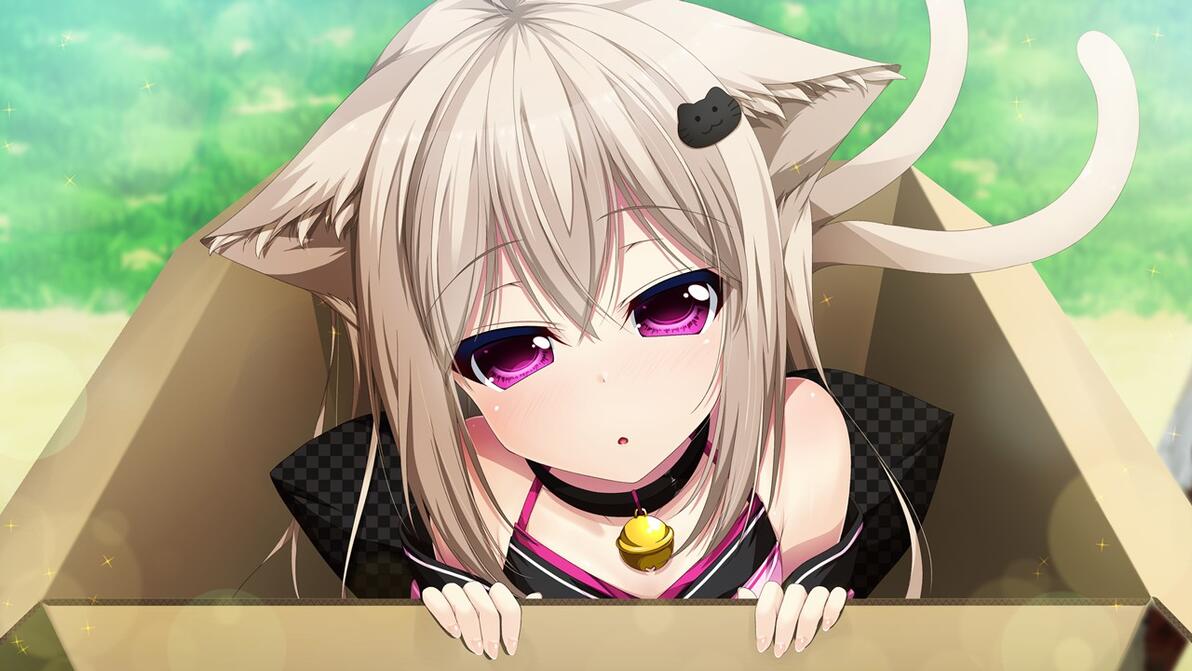 简单易懂的GAL入门及解包上手教程 - 哔哩哔哩