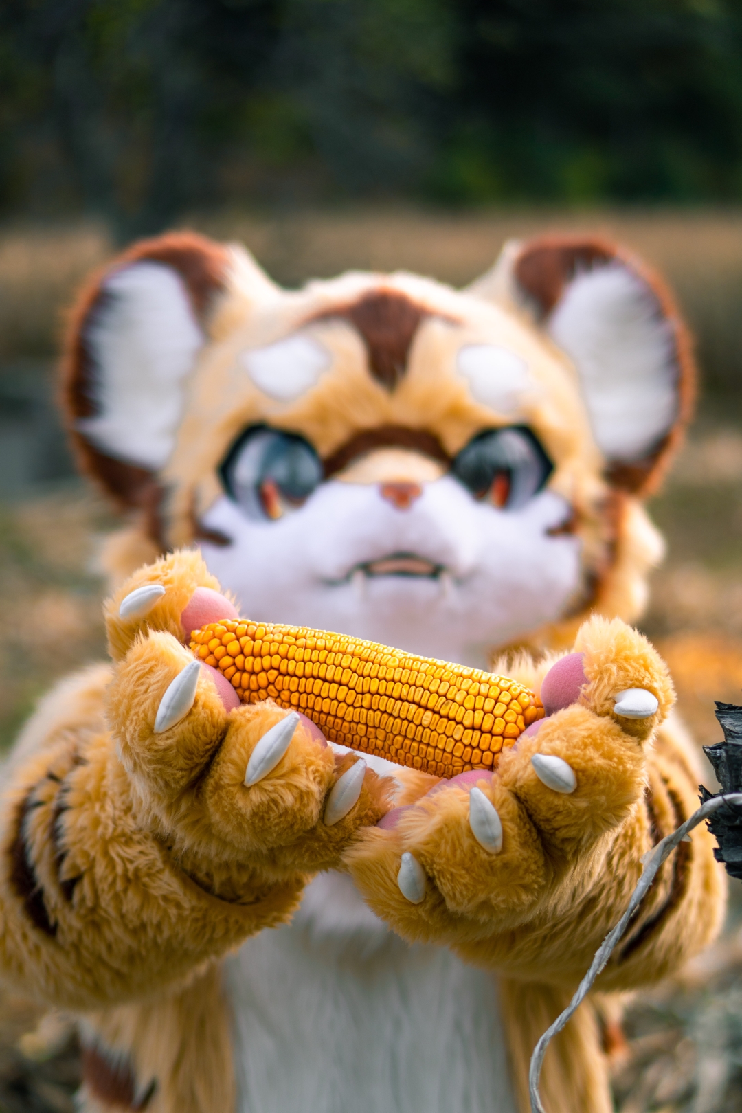 杂图系列（猛男系列：兽人furry第二十弹）#47 - 哔哩哔哩