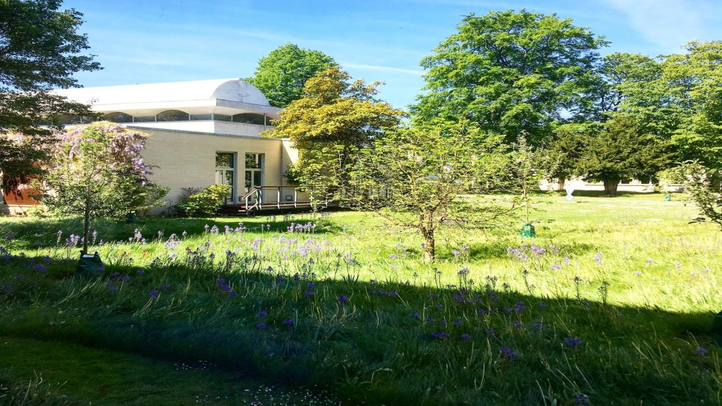 剑桥之Murray Edwards默里·爱德华兹学院 - 哔哩哔哩