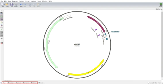 SnapGene 使用教程 - 哔哩哔哩