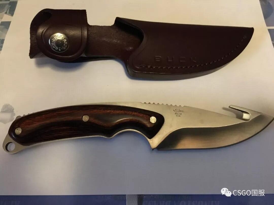 【刀说】第4期：杀猪刀——百年如一的美国BUCK刀 - 哔哩哔哩