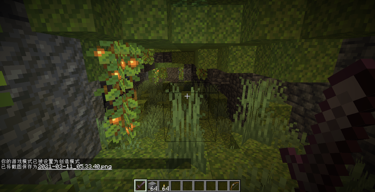 21w10a发布了！加入繁茂洞穴及新的深板岩变种！ - 哔哩哔哩