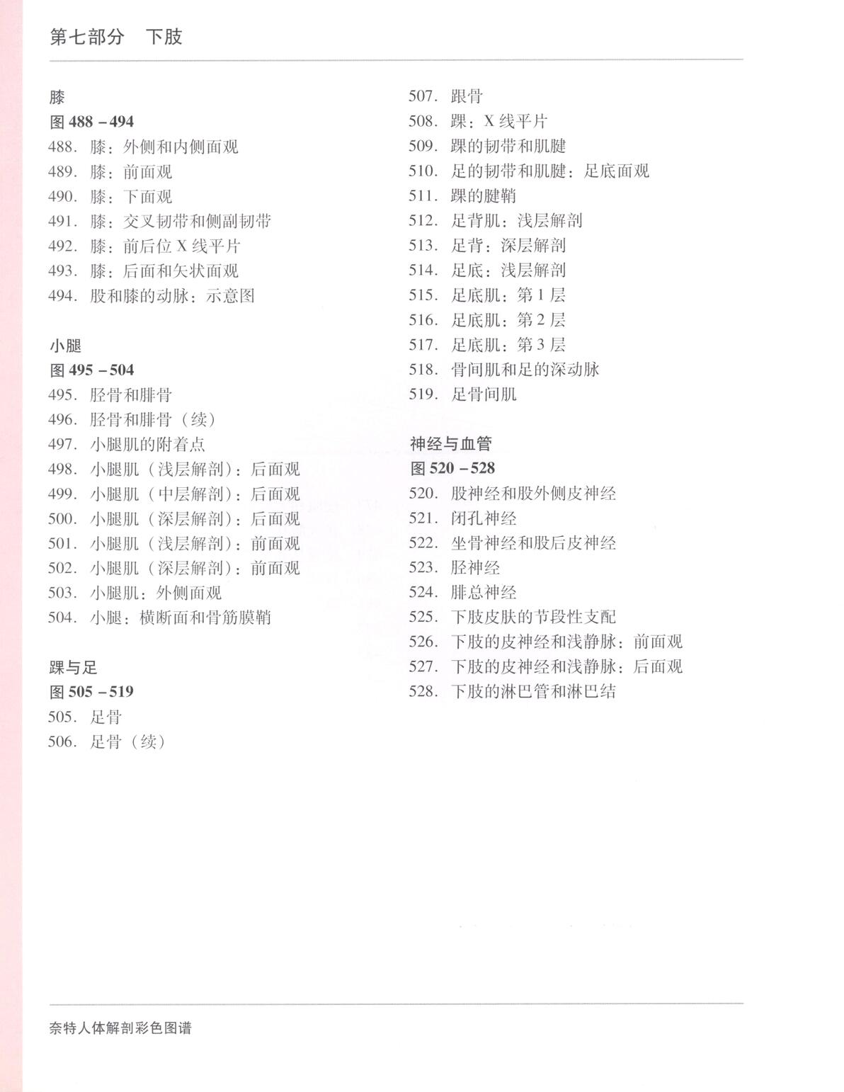 《奈特人体解剖彩色图谱 第3版》Frank H. Netter原著；王怀经主译&R - 哔哩哔哩