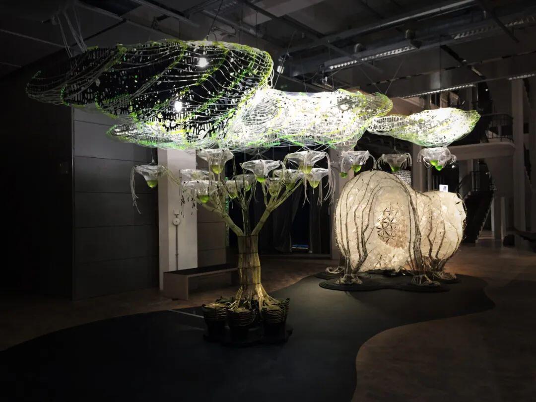 CY TALK | 生物设计科学怪人 ecoLogicStudio 如何运用藻类融入我们的生活 - 哔哩哔哩