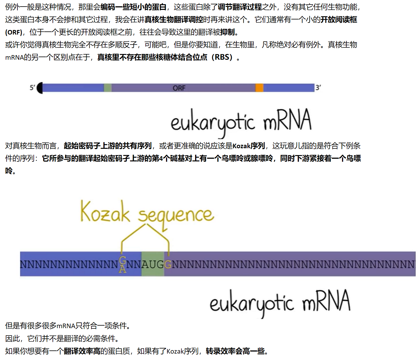 MIT 分子生物学 part3 1.4 真核生物mRNA的结构 - 哔哩哔哩