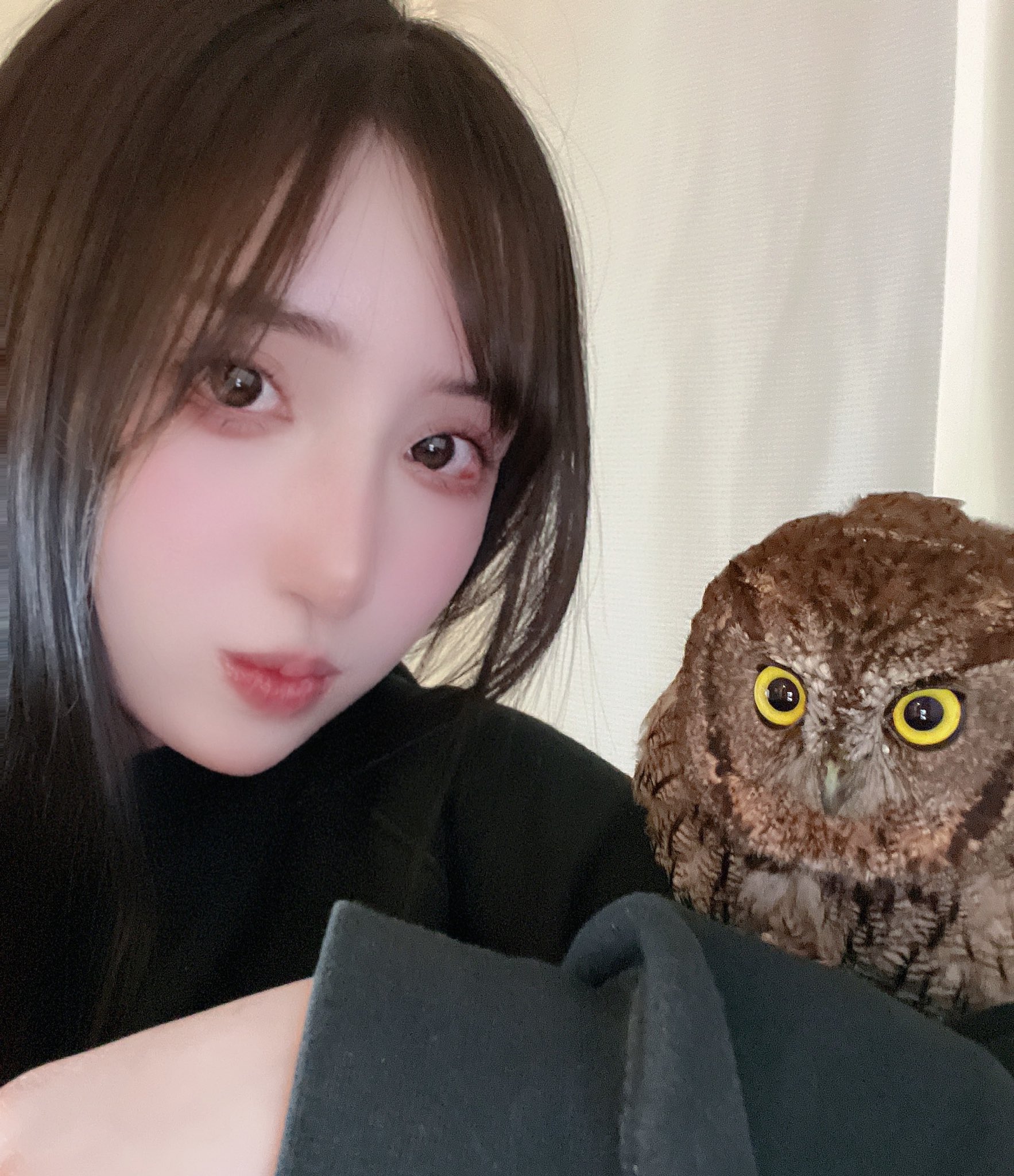 楪可怜 楪カレン Karen Yuzuriha【优百科#039】 - 哔哩哔哩