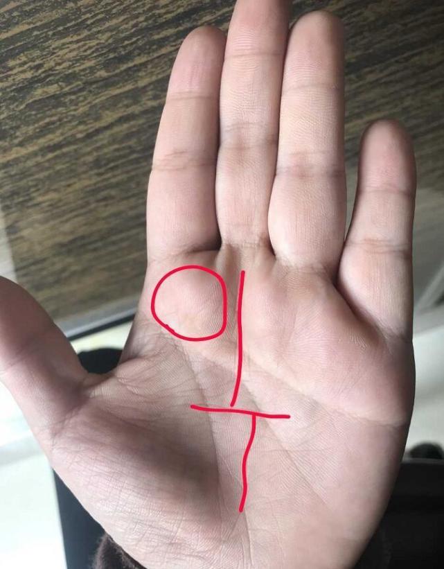 这4种手相的人，能名利双收，事业财富一生旺 哔哩哔哩