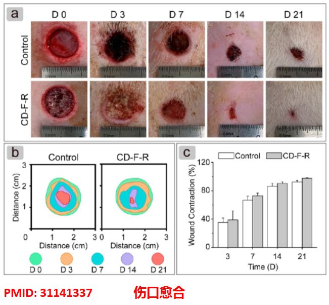 绘图干货丨老司机解带你解锁ImageJ面积分析 - 哔哩哔哩