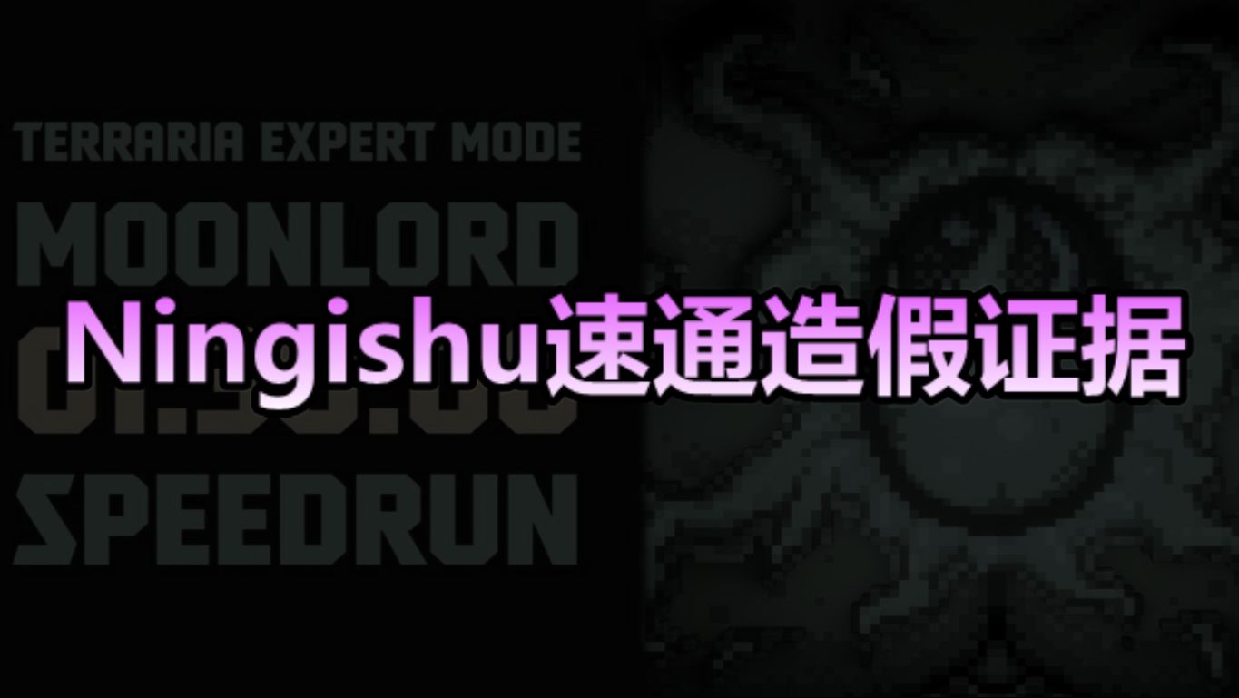 《泰拉瑞亚》虚荣玩家——Ningishu - 哔哩哔哩