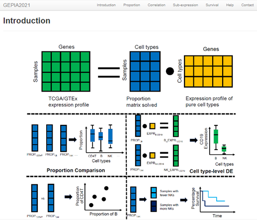 就怕你不会！肿瘤免疫浸润的又1个分析利器——GEPIA2021 - 哔哩哔哩