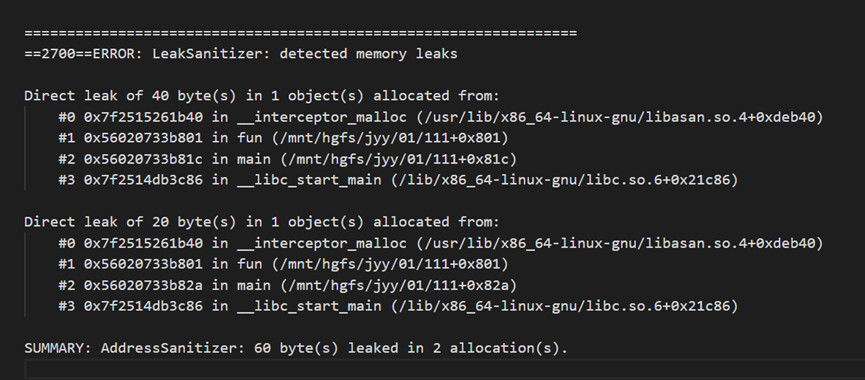 内存泄露检测工具-AddressSanitzer - 哔哩哔哩