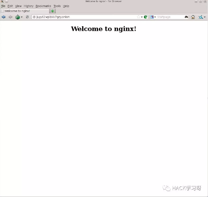 如何创建一个 Tor.onion 网站 - 哔哩哔哩