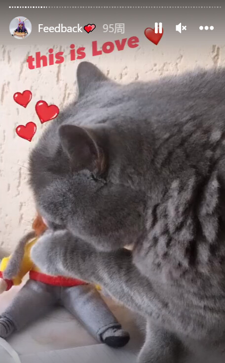 别样的Fumo:Fumba——生草与热情并存的艺术品 - 哔哩哔哩