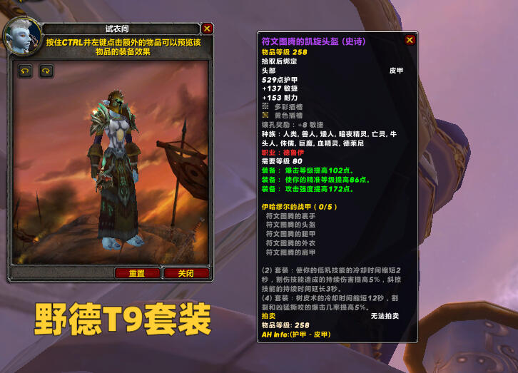 魔兽WLK：P3各职业T9套装分析，套装搭配方案，3个专精无需4件套 - 哔哩哔哩