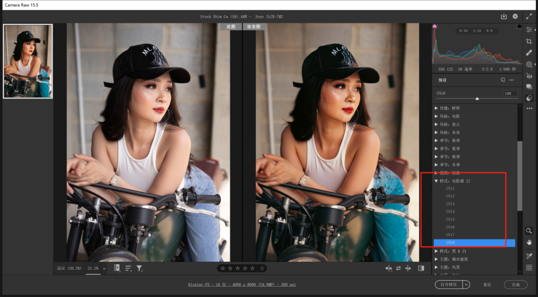 刚刚更新，Camera Raw 15.5升级版，一键安装（支持win/mac） - 哔哩哔哩