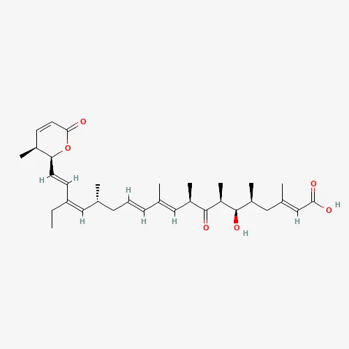 来普霉素 B；蛋白出核转运抑制剂 - 哔哩哔哩