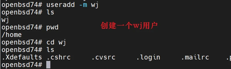 类UNIX系统之一OpenBSD操作系统的安装教程 - 哔哩哔哩