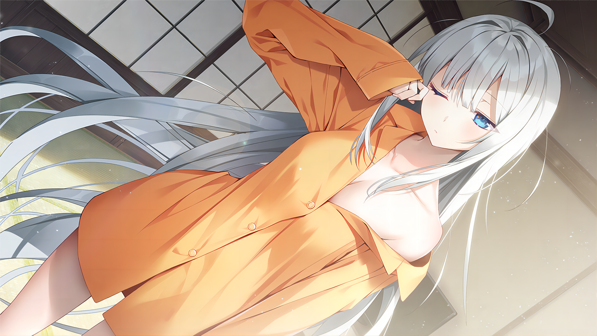 【4K修复】《GINKA》（银花）全CG集 - 哔哩哔哩