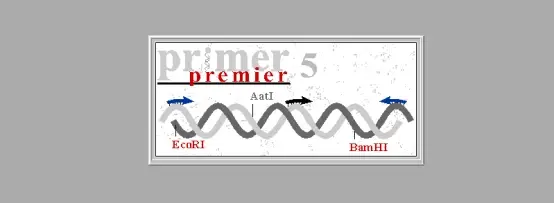 引物设计三剑客！引物设计最推荐用Primer Premier搭配Oligo ！（含安装包以及教程） - 哔哩哔哩