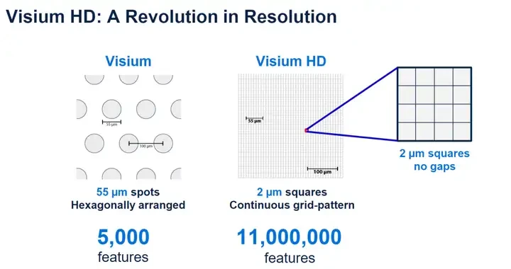 10x Genomics发布空间Visium HD平台，在更高分辨率下卷起来 - 哔哩哔哩