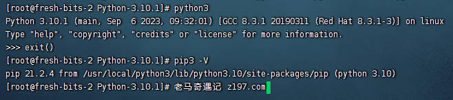 服务器Centos7部署安装Python3的完整过程（3.10.1） - 哔哩哔哩