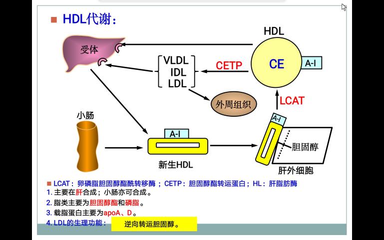生物化学与分子生物学笔记（2）第七～十八章 - 哔哩哔哩