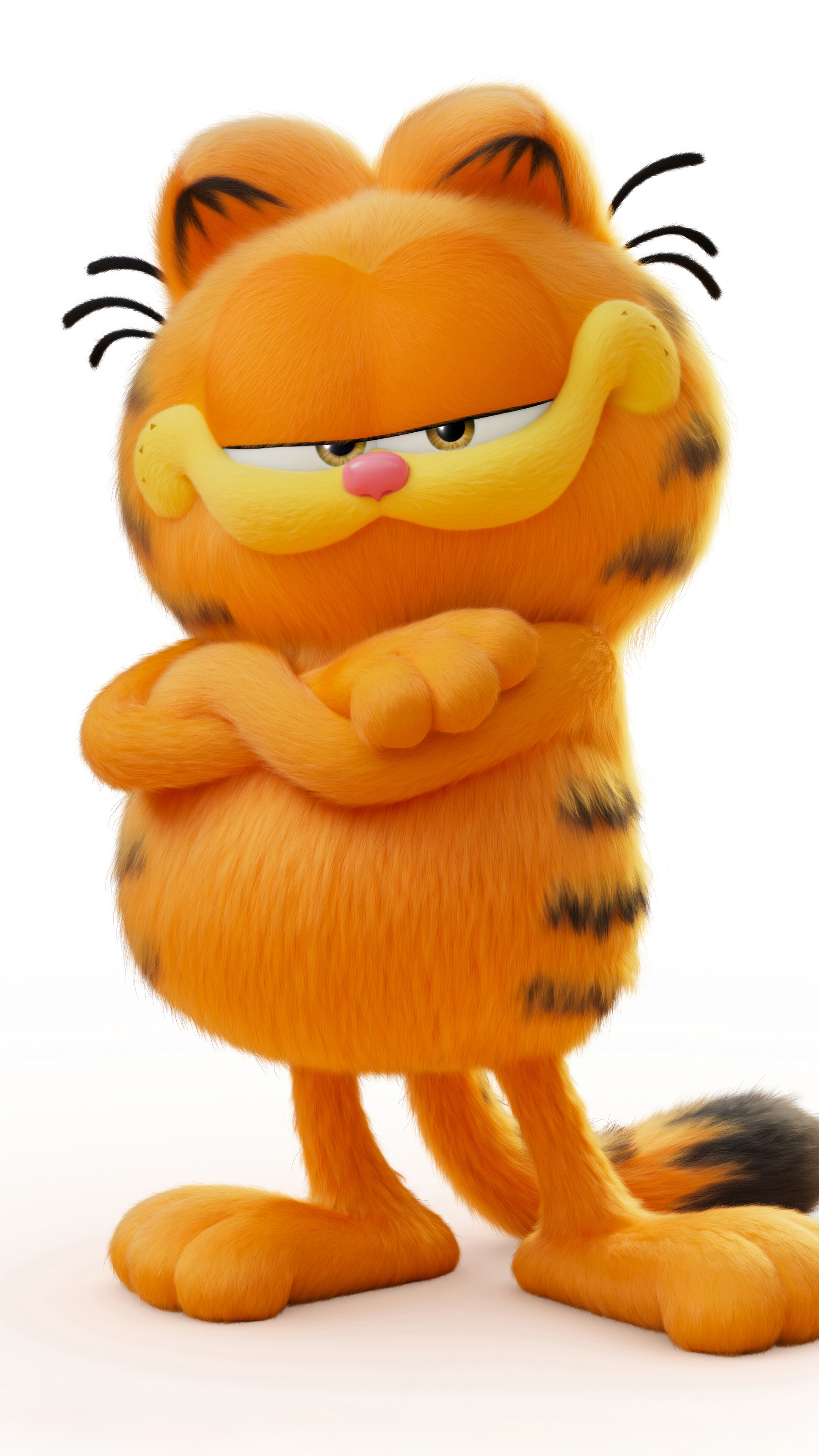 加菲猫（The Garfield Movie）| 4K 电脑壁纸 手机壁纸 - 哔哩哔哩