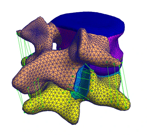 FEBio--开源生物力学有限元分析软件 - 哔哩哔哩