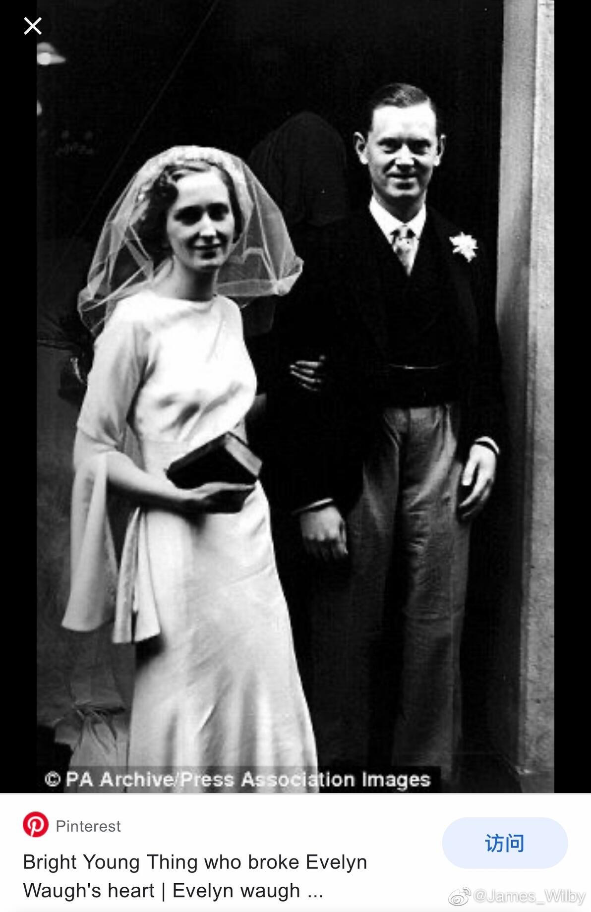 A Handful of Dust的作者Evelyn Waugh个人生活 VS 小说主人公Tony Last - 哔哩哔哩