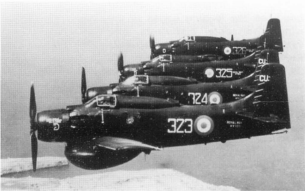 天降正义？——AD-1天袭者型号辨别（XBT2D-1~AD-4） - 哔哩哔哩