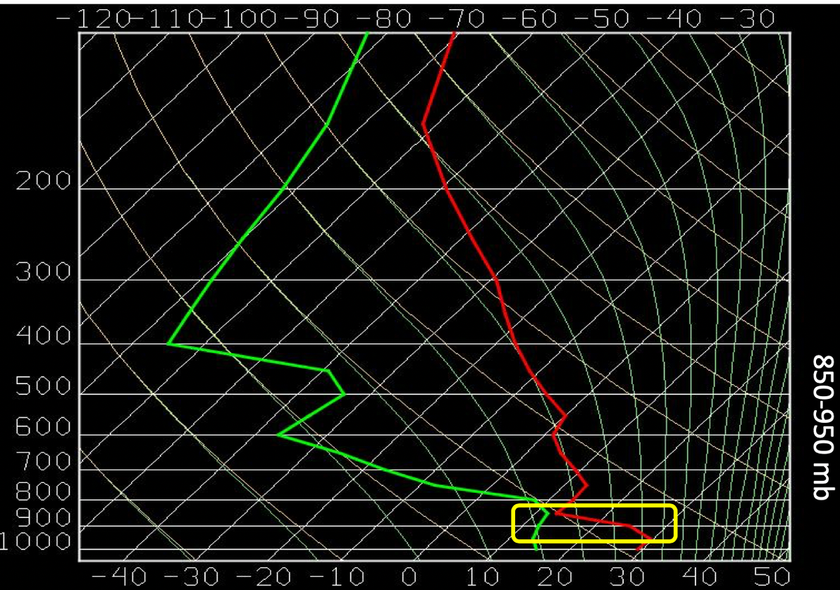 呕心沥血倾力巨制T-lnP图攻略 - 哔哩哔哩