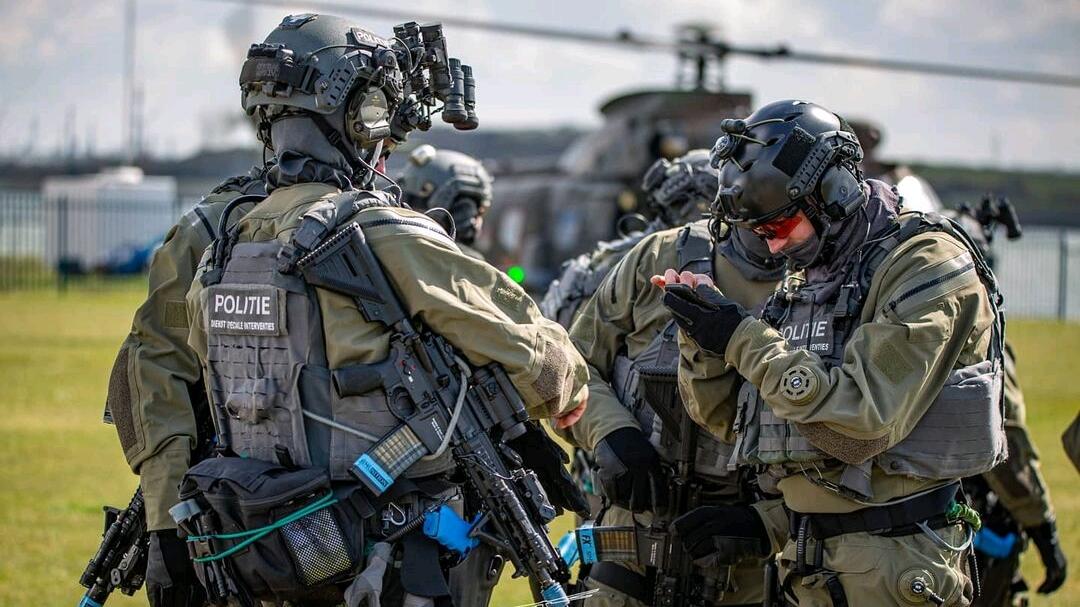 简单介绍下18年至今的DSI装备 - 哔哩哔哩