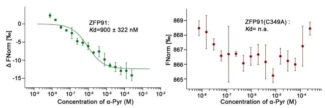 案例分享 | 北大药学院借助MST技术检测蟾毒灵与E2F2转录因子间的相互作用 - 哔哩哔哩