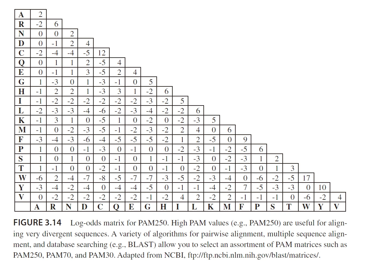 如何得到PAM打分矩阵——PAM打分矩阵原理与Dayhoff模型【生物信息学】 - 哔哩哔哩