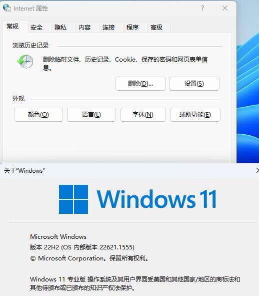 win11的internet选项常规页只剩下历史记录和外观，找到丢失选项对应注册表项的方法 - 哔哩哔哩