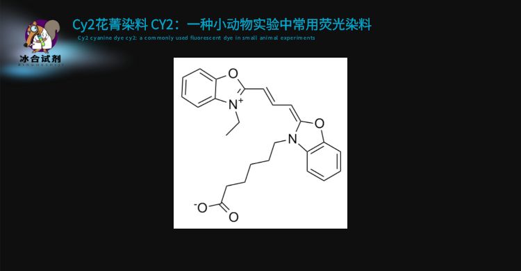 Cy2花菁染料CY2：一种小动物实验中常用荧光染料 - 哔哩哔哩